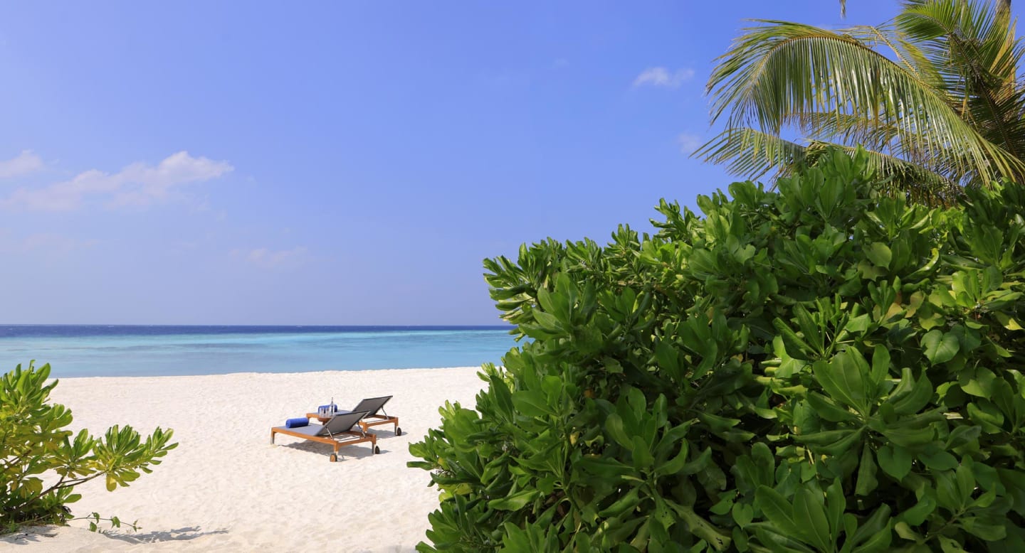 Maldives Resort Photos | Photo Gallery of Avani+ Fares Maldives