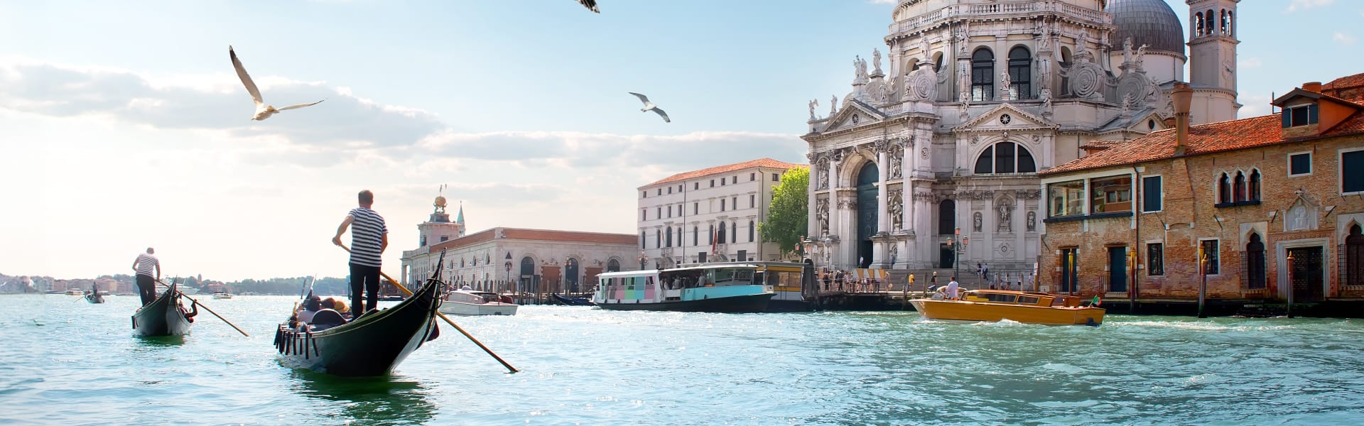 Avani Hotels & Resorts Official Site | Book Hotels Online