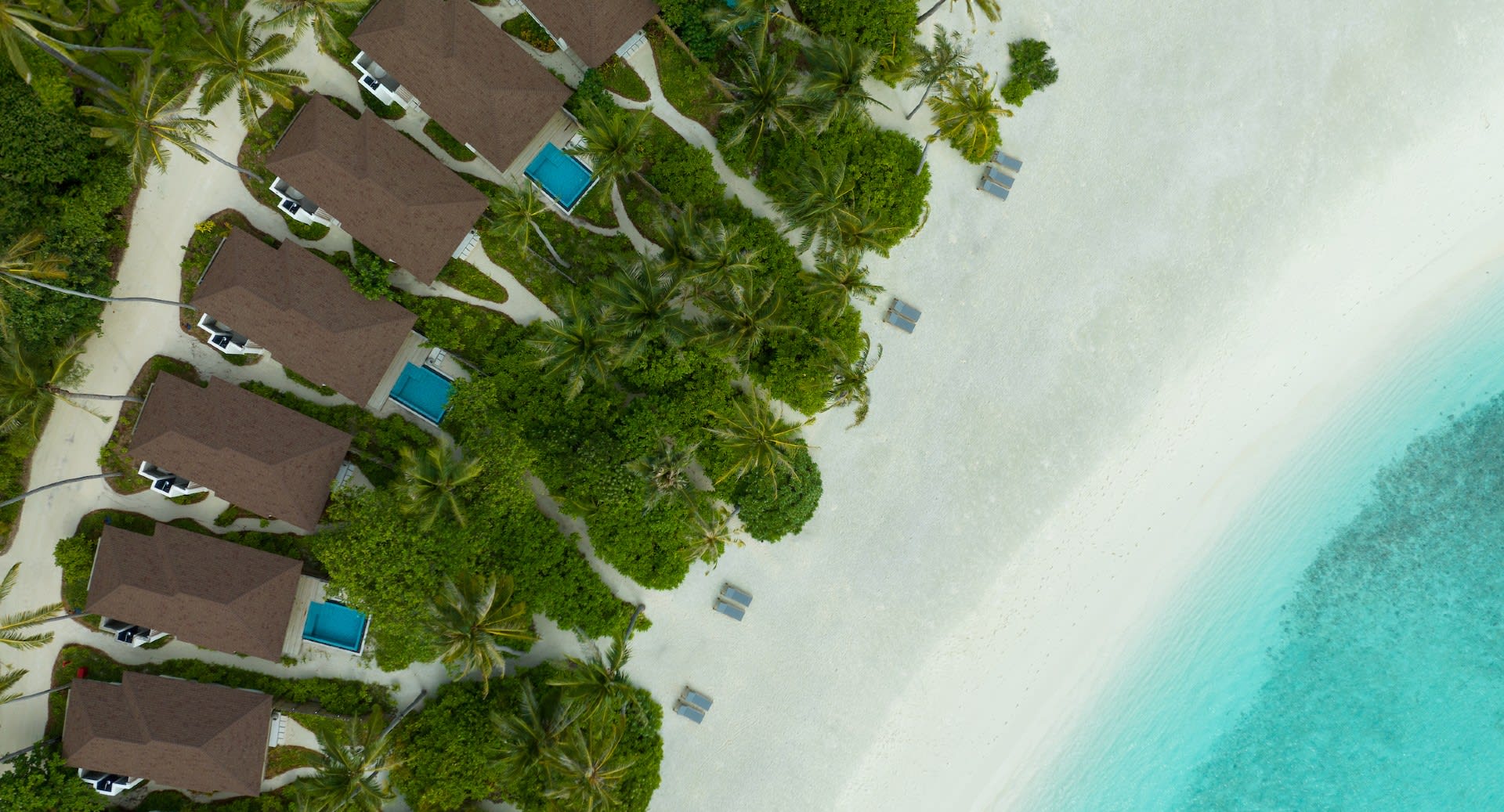Photo Gallery | Avani+ Fares Maldives | Hotel Photos