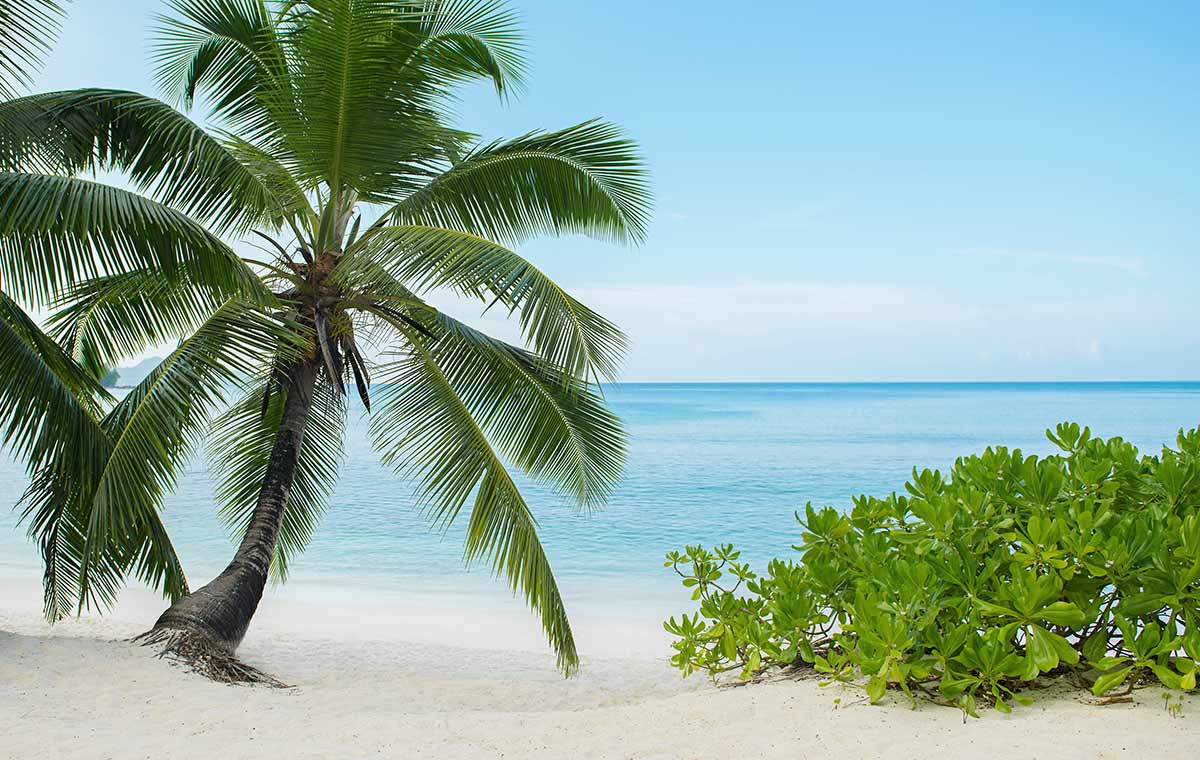 Photo Gallery | Avani Seychelles Barbarons Resort Pictures Gallery