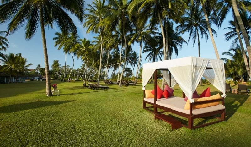 A Milestone Worth Celebrating | Avani Hotels 10th Anniversary