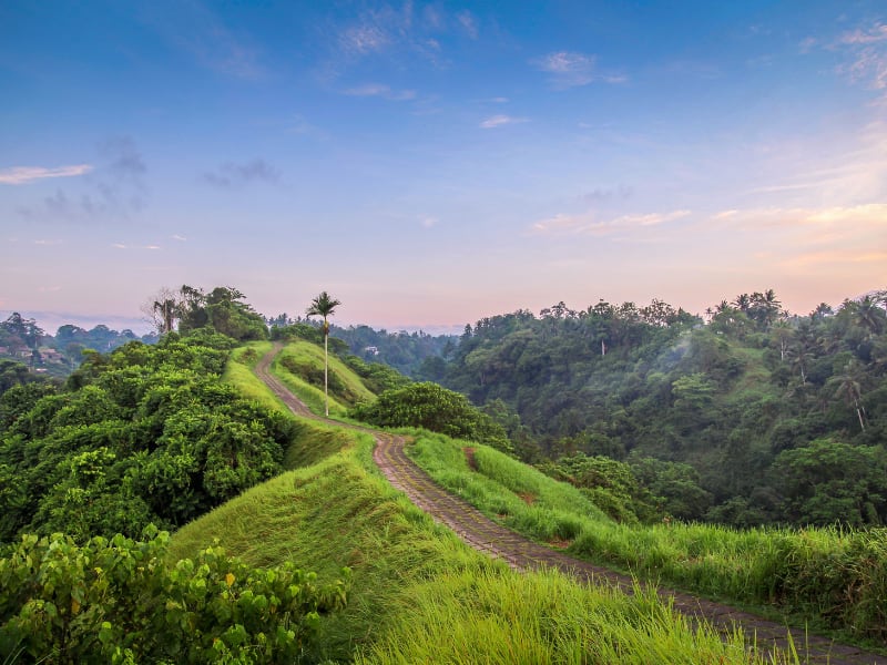 Five best winter hiking trails under beautiful weather
