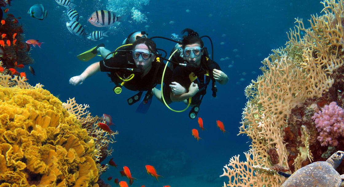 Baa Atoll Maldives Resort & Hotel | Avani+ Fares Maldives Resort