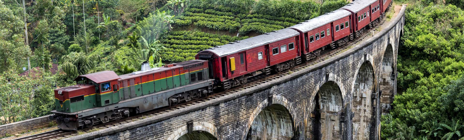 Things to Do in Kalutara | Avani Kalutara Resort Activities