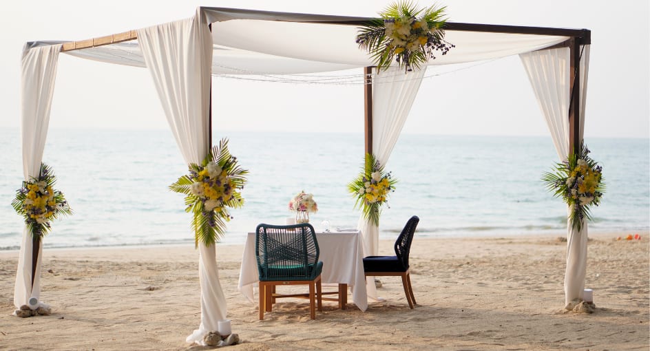 DINING UNDER THE STARS