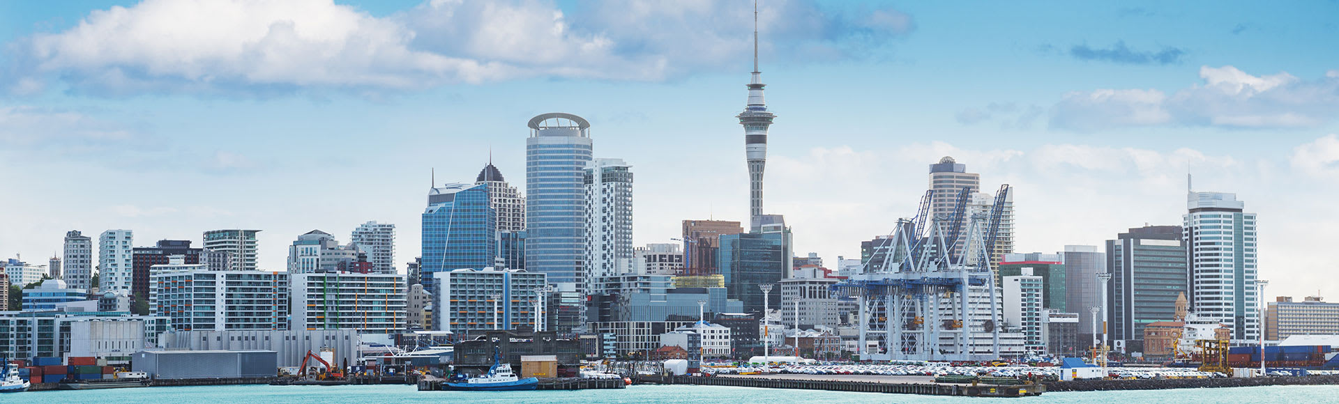 Things to do in Auckland City | Avani Auckland Metropolis