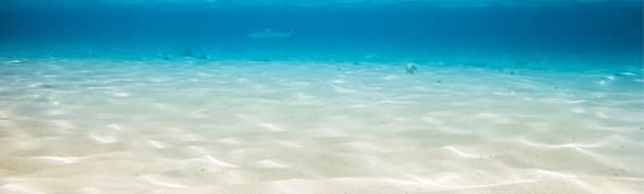 Things to do in Mozambique | Things to do at Avani Pemba Beach